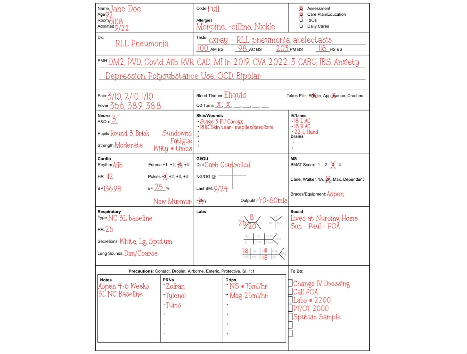 Nursing Report Sheet for MS or IMC, Telemetry, Brain, Digital Download ...