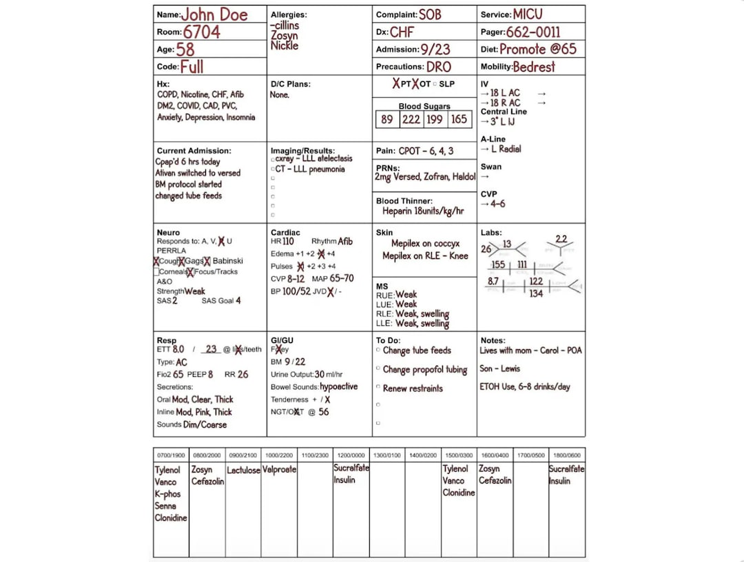 Nurse Report Sheet, Nursing Report Sheet, Nursing Notes, ICU Report ...