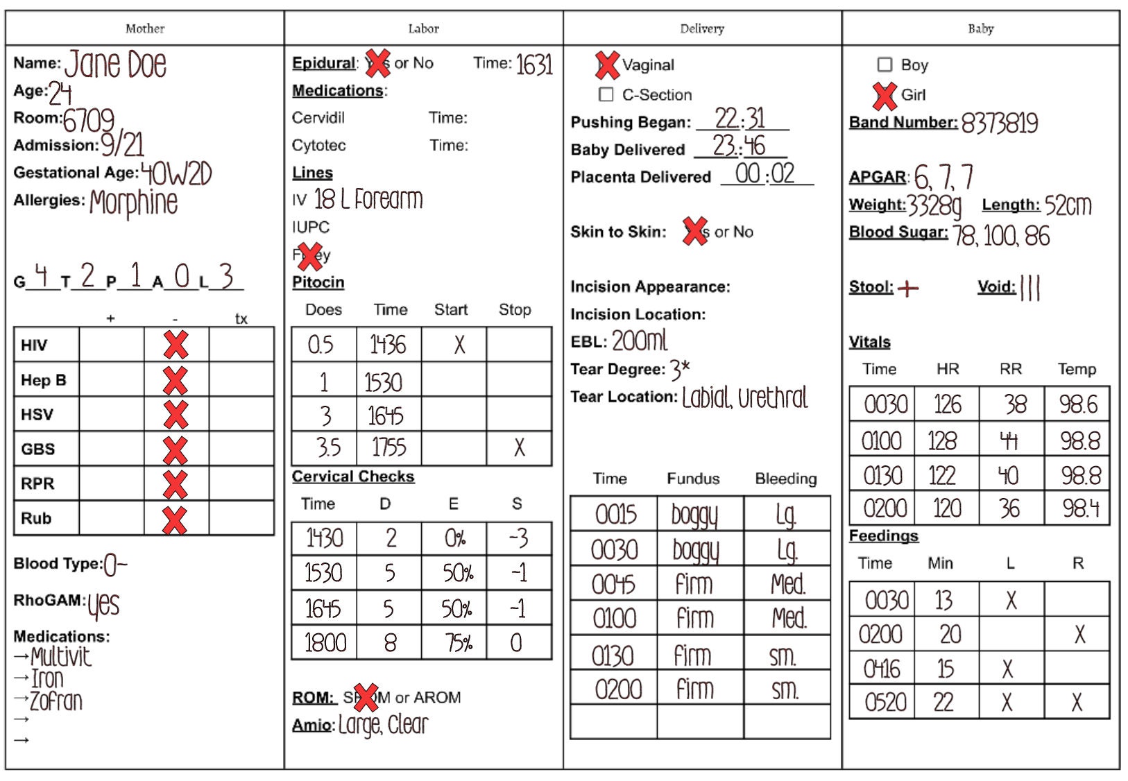Nurse L&D Report Sheet, Brain, Digital Download, Nursing, Labor and ...