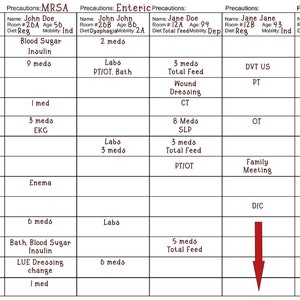 Nursing Hourly to Do, Nurse Shift Planner, 5 Patients, Med Surge Nurse ...