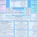 Nursing School Concept Map Template, Nursing Concept Map, Nursing Notes ...