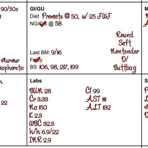 Nurse ICU SCU Report Sheet, Brain, Digital Download, Nursing, Rn, Cicu ...