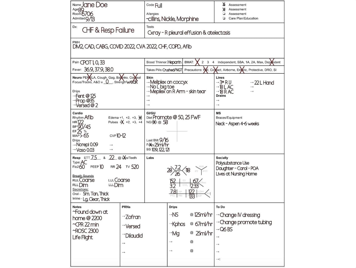 Nursing ICU Report Sheet, Nurse Brain, Digital Download, Nursing, RN ...