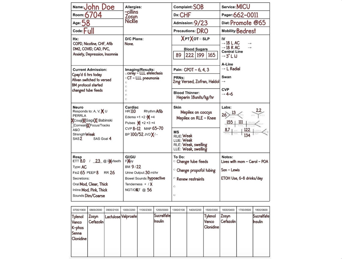 Nurse Report Sheet, Nursing Report Sheet, Nursing Notes, ICU Report ...