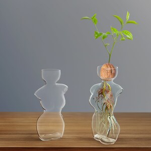 Woman Body Form Glass Vase: Unique Plant Propagation Decor - Etsy