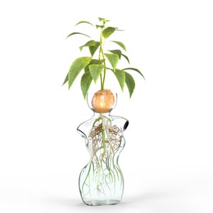 Woman Body Form Glass Vase: Unique Plant Propagation Decor - Etsy