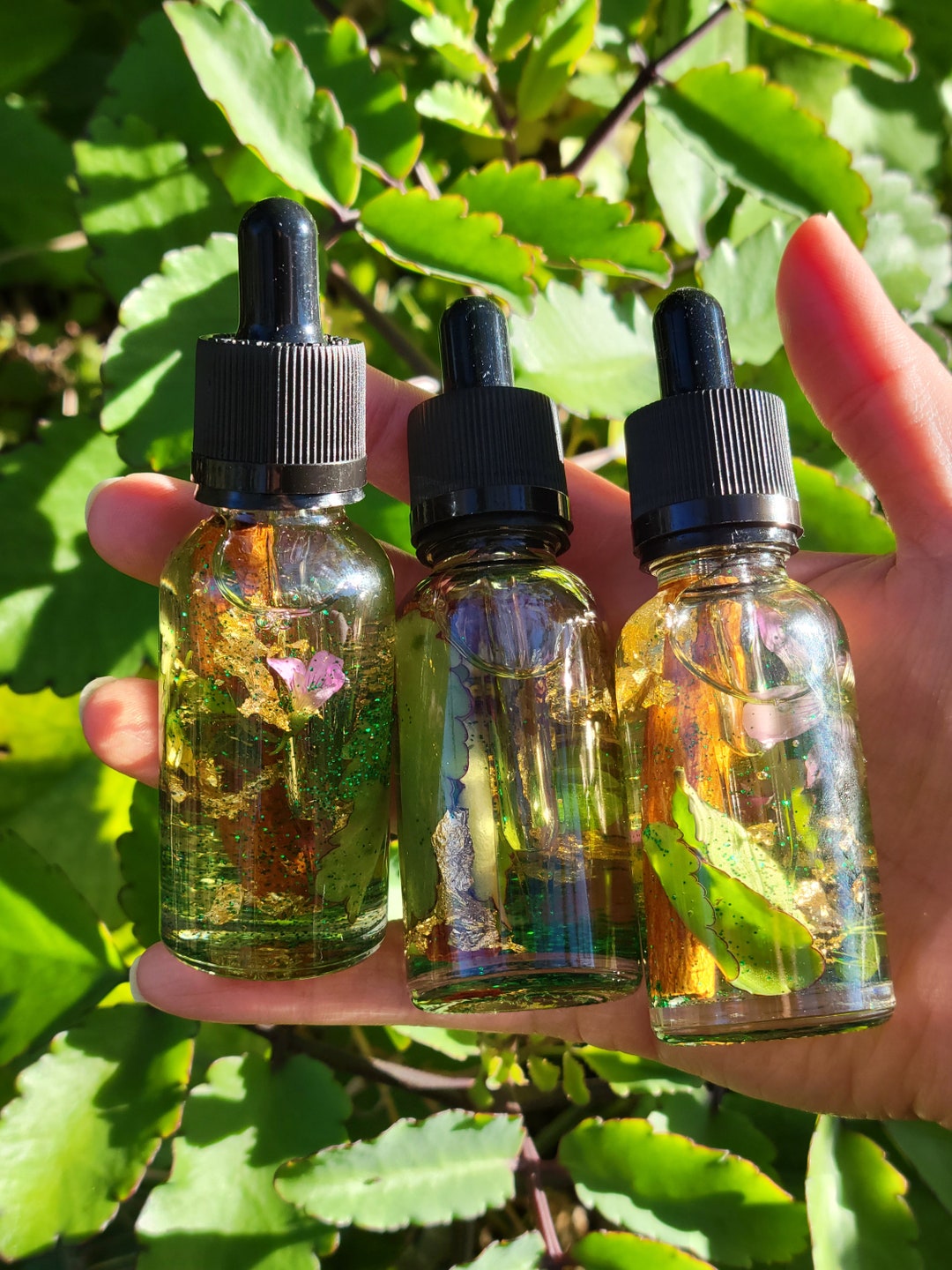 Miracle Leaf Money Oil Leaf of Life Prosperity Oil Money Blessing Oil ...