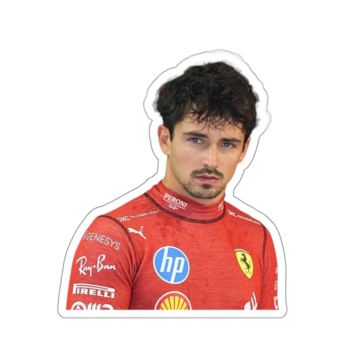 Charles Leclerc Ferrari Stickers - Etsy