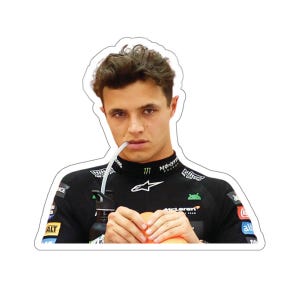 Lando Norris Mclaren Formula 1 Stickers - Etsy