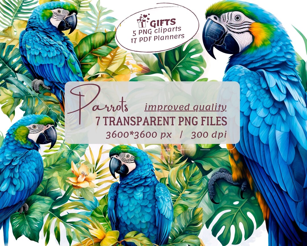 Set of 7 Images. Improved Quality in PNG Format, Clipart for Printing ...