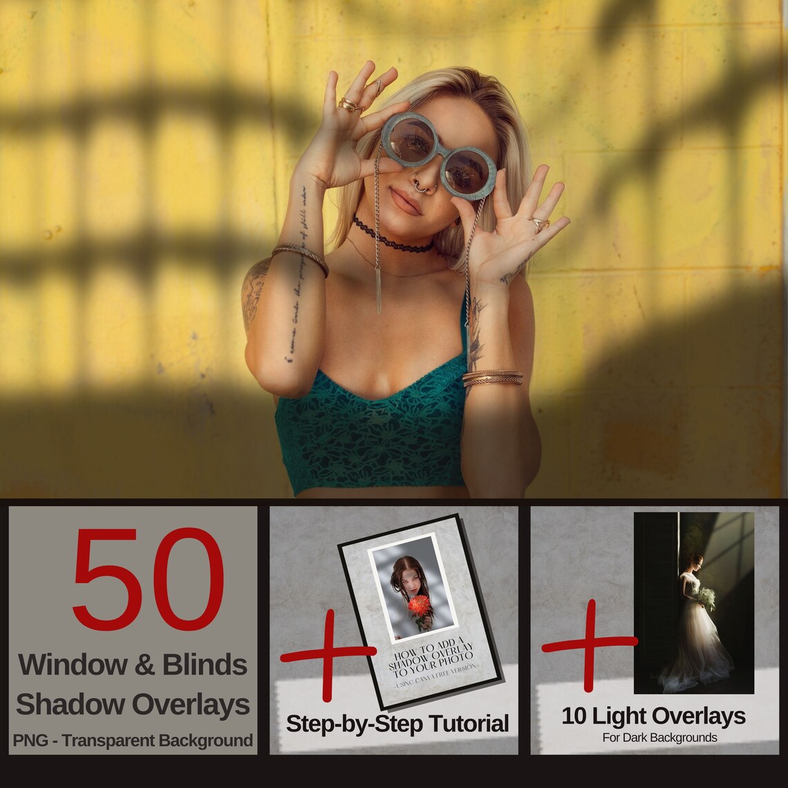 Shade Overlay for Windows Digital Photo Overlay Portrait Digital Blind ...