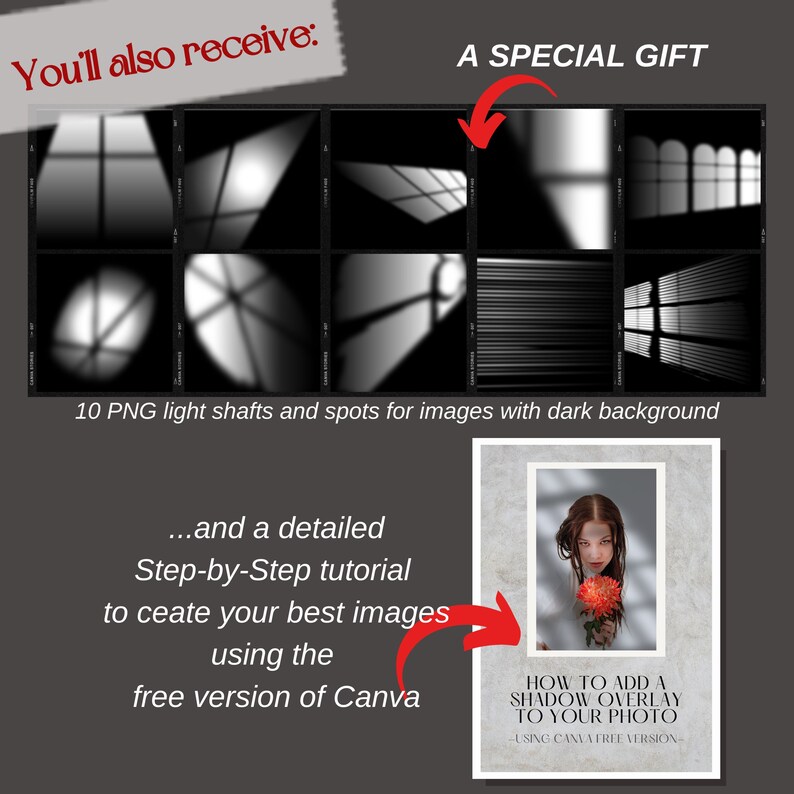 Shade Overlay for Windows Digital Photo Overlay Portrait Digital Blind ...