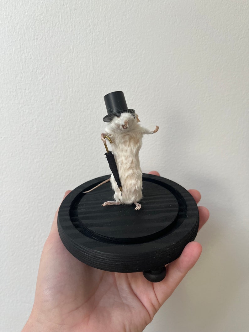 Taxidermy Mouse in Top Hat in Glass Dome Holding Umbrella ...