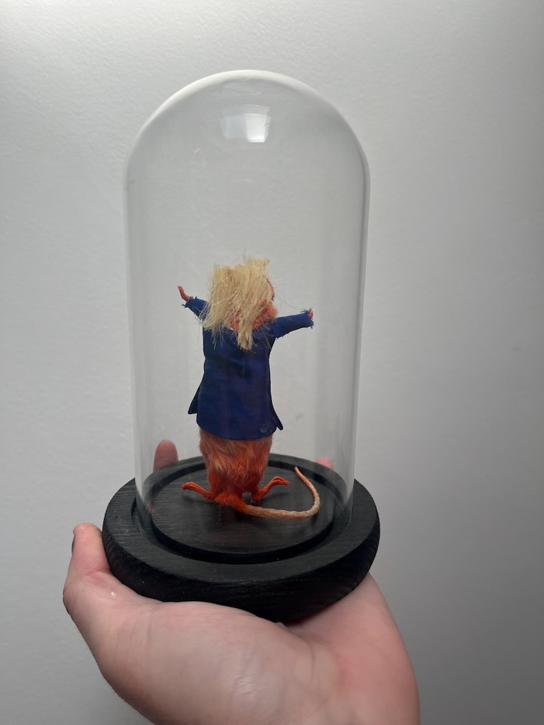 Taxidermy Mouse Donald Trump in Glass Dome - Anthropomorphic ...