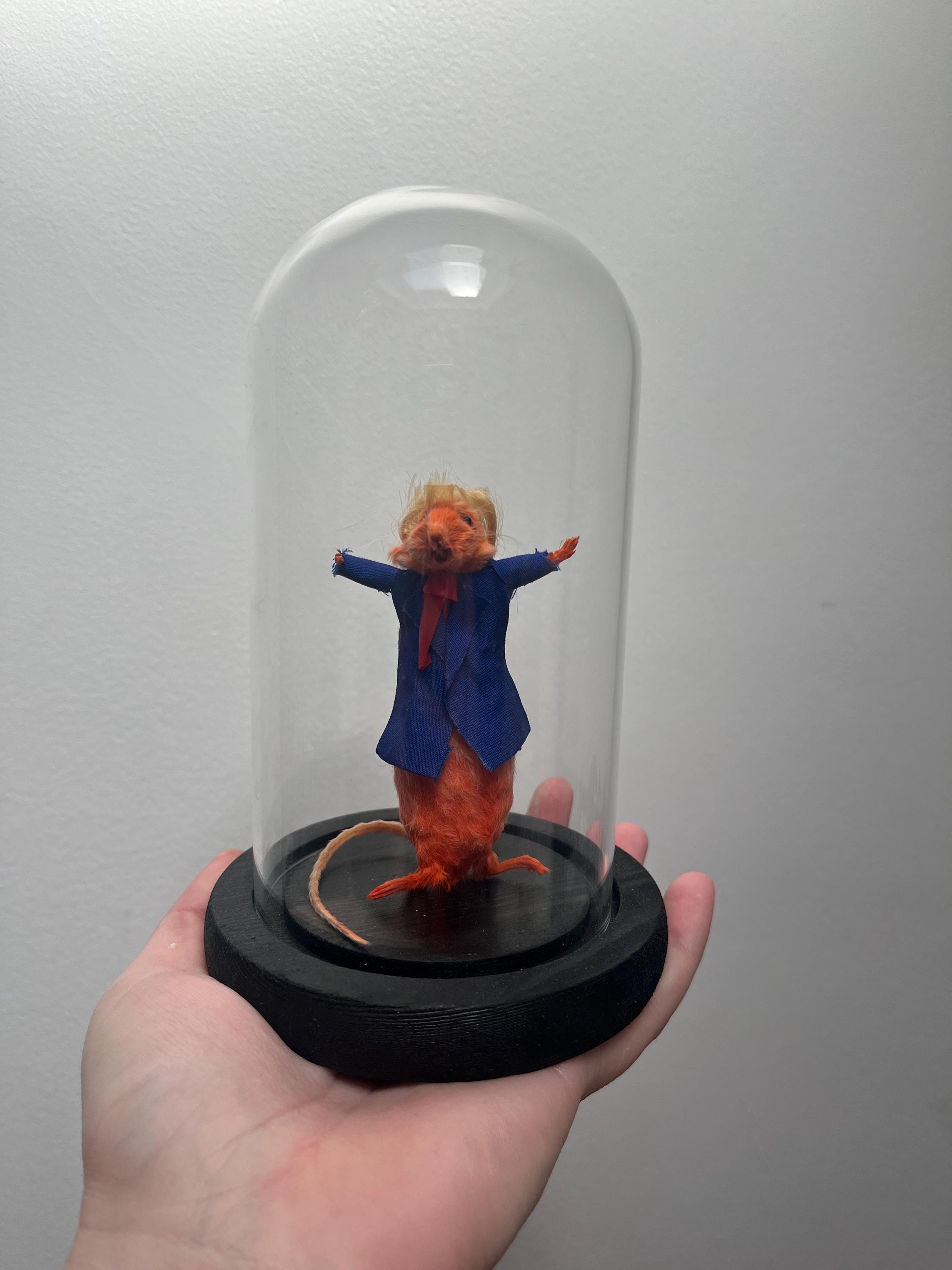 Taxidermy Mouse Donald Trump in Glass Dome - Anthropomorphic ...