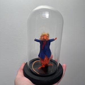 Taxidermy Mouse Donald Trump in Glass Dome - Anthropomorphic ...
