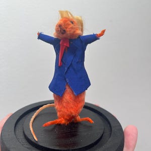 Taxidermy Mouse Donald Trump in Glass Dome - Anthropomorphic ...