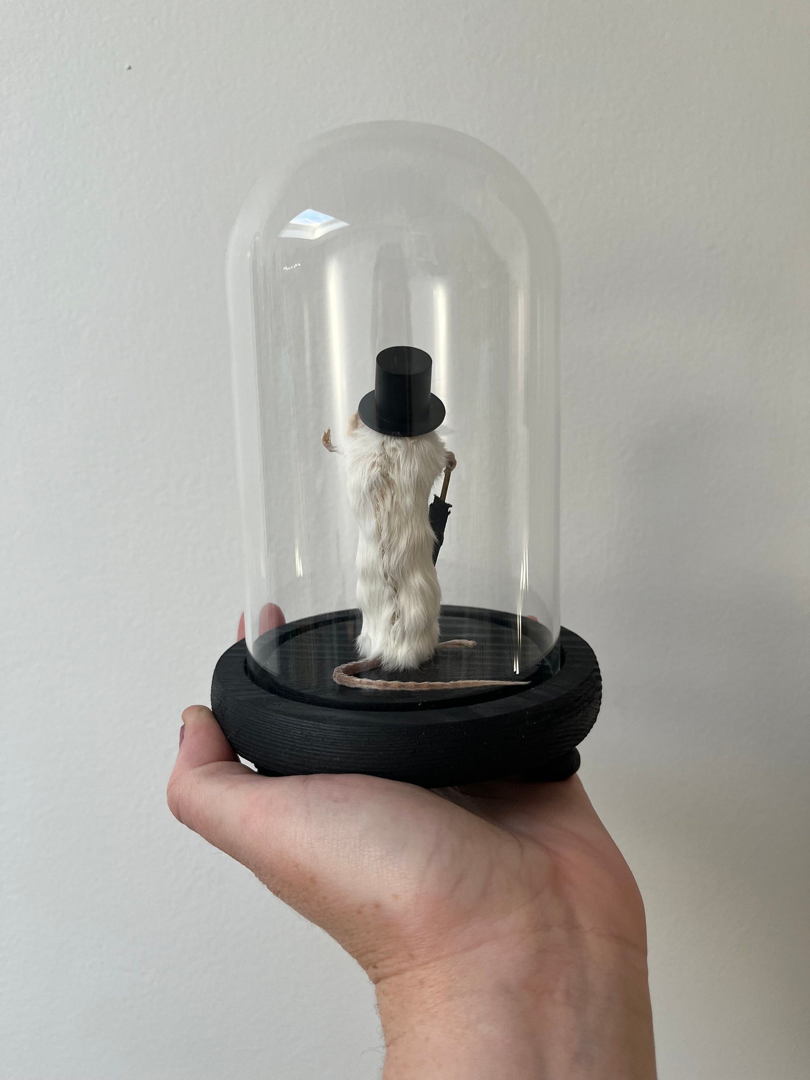Taxidermy Mouse in Top Hat in Glass Dome Holding Umbrella ...