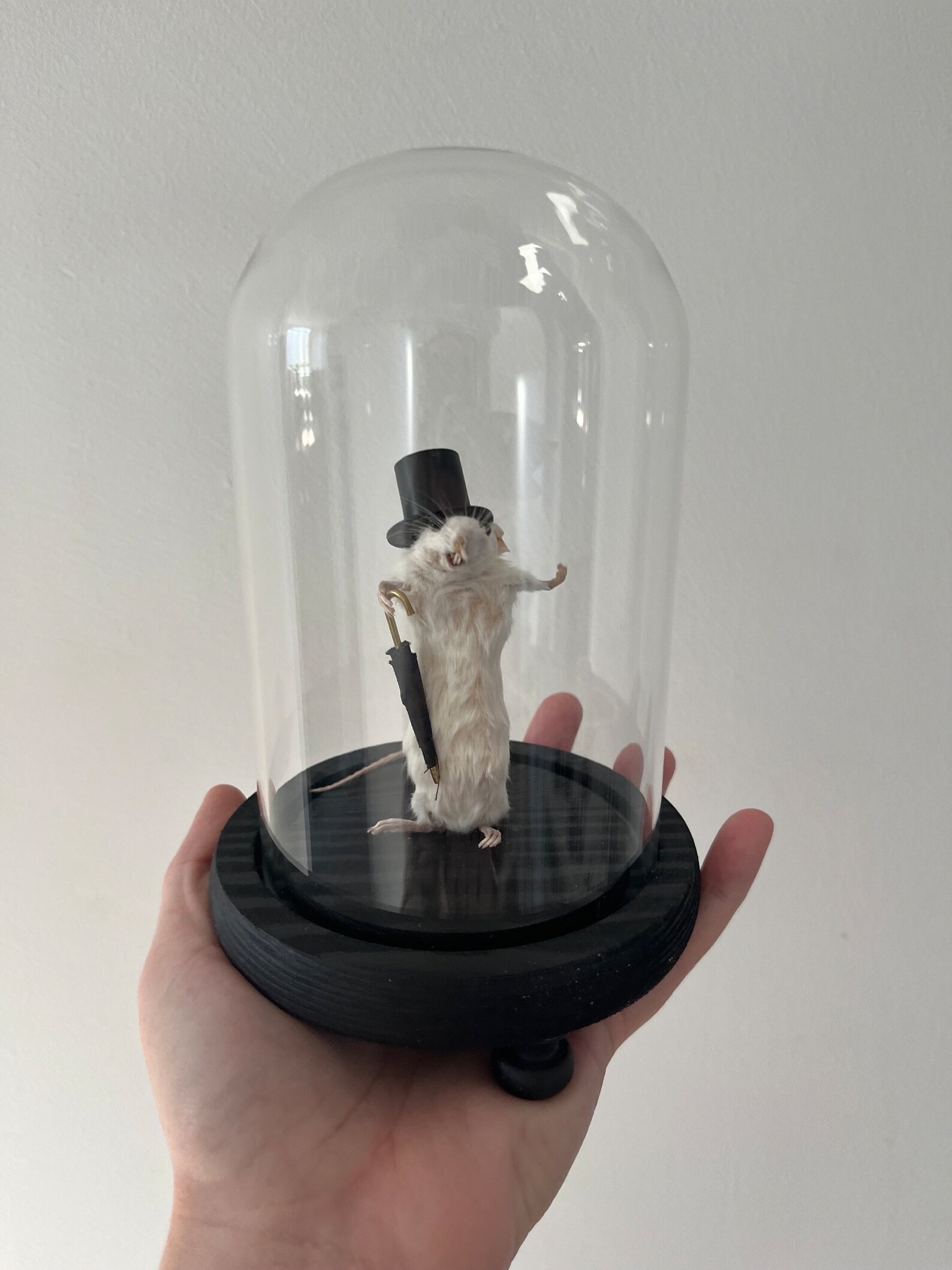 Taxidermy Mouse in Top Hat in Glass Dome Holding Umbrella ...