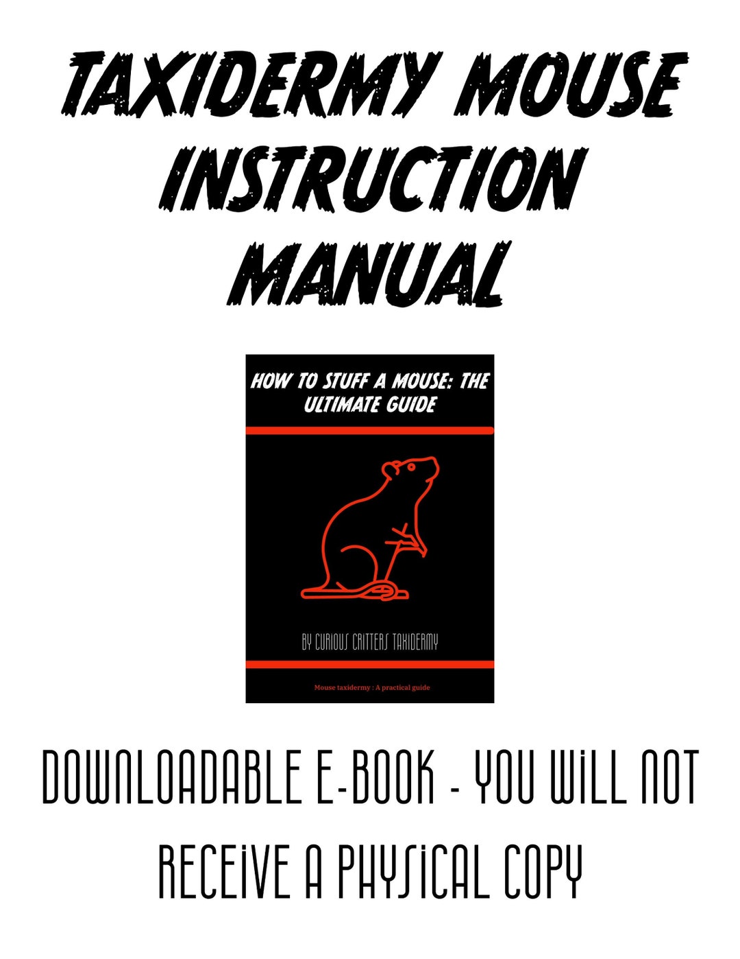 Taxidermy Mouse Instruction Book | How to Taxidermy a Mouse for ...