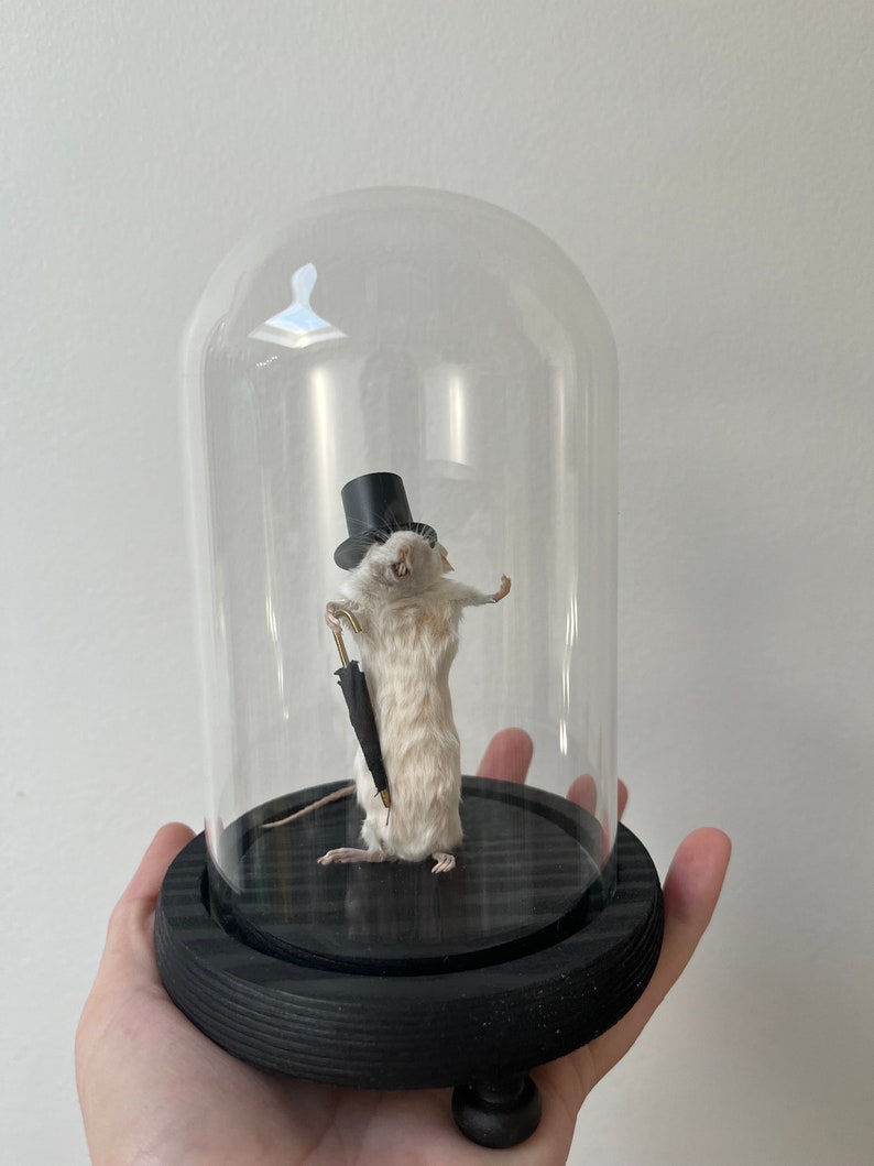 Taxidermy Mouse in Top Hat in Glass Dome Holding Umbrella ...