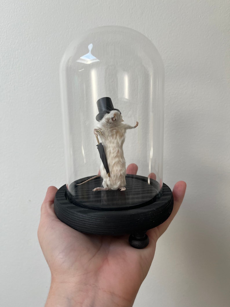 Taxidermy Mouse in Top Hat in Glass Dome Holding Umbrella ...