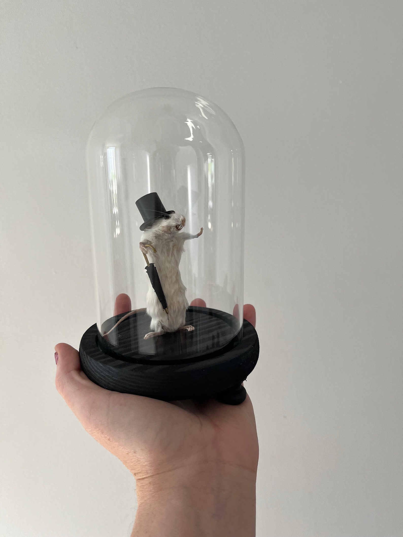 Taxidermy Mouse in Top Hat in Glass Dome Holding Umbrella ...