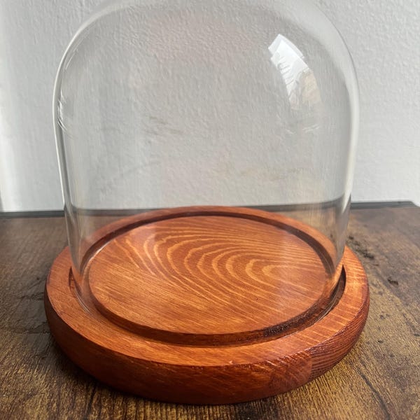 Glass Dome Display - Etsy