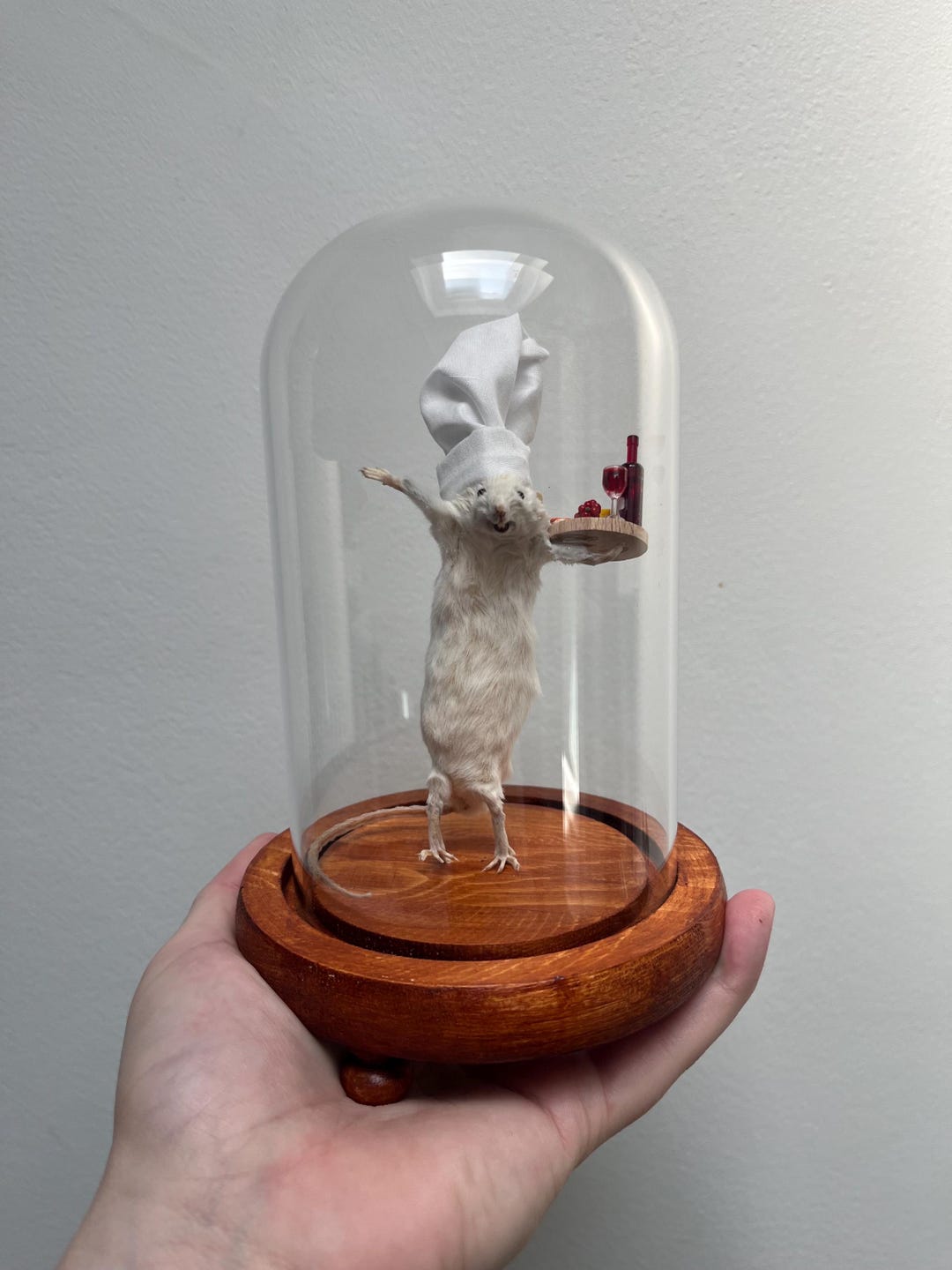 Taxidermy Mouse Cook | Glass Dome Taxidermy Mouse | Taxidermy Mouse ...