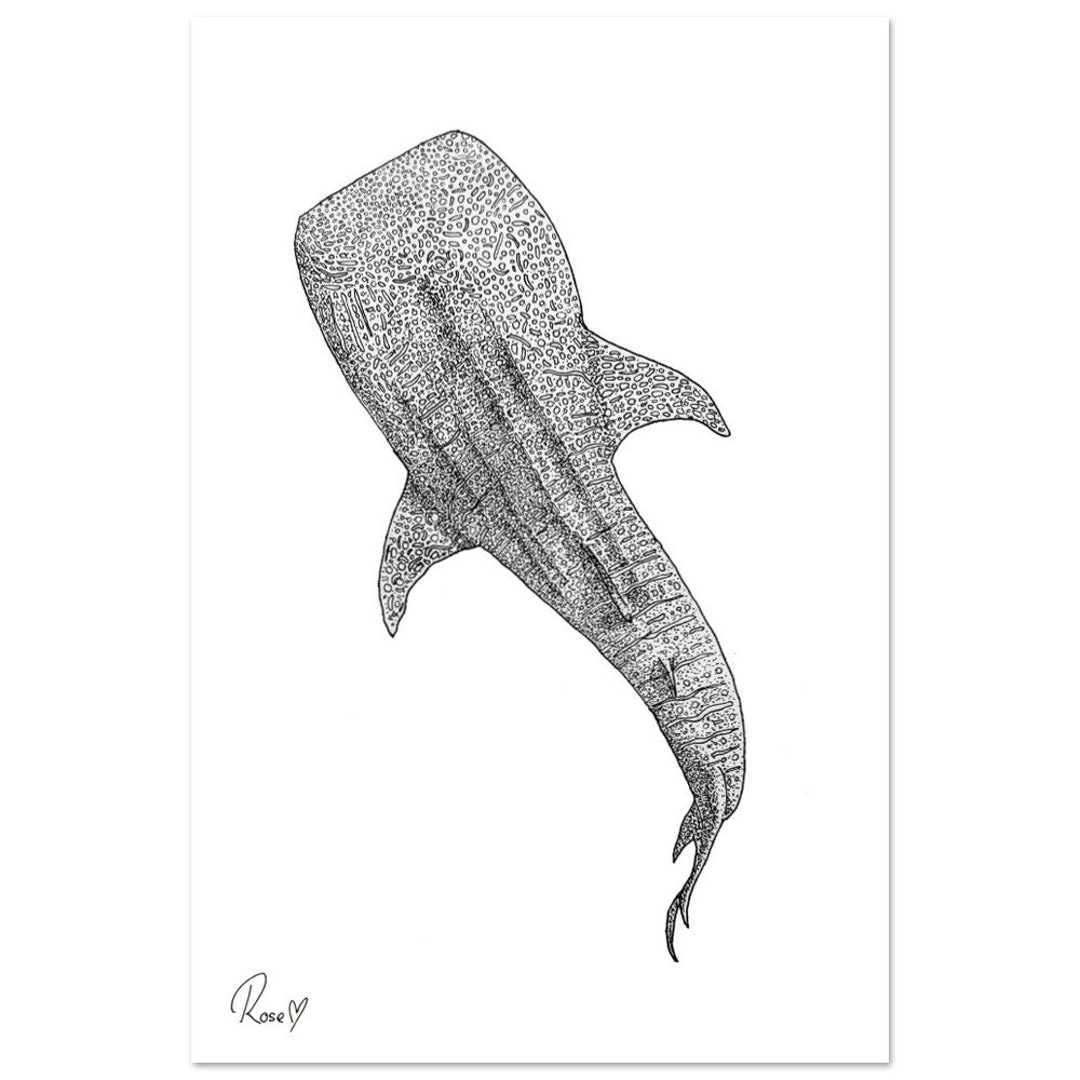 Inky Whale Shark Premium Matte Paper Print Whale Shark Drawing Ocean ...