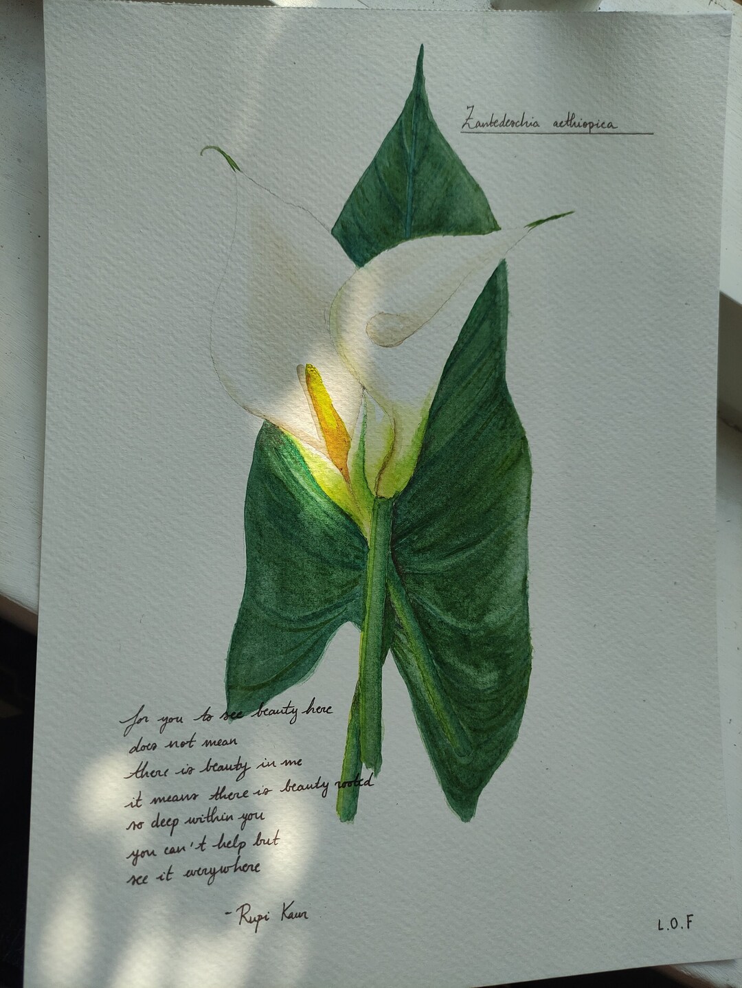 Calla Lily Poetic Watercolor - Etsy