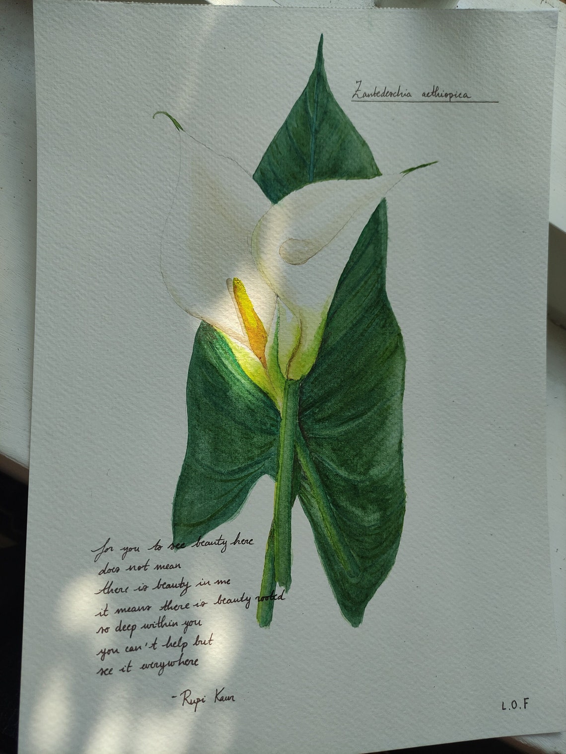 Calla Lily Poetic Watercolor - Etsy