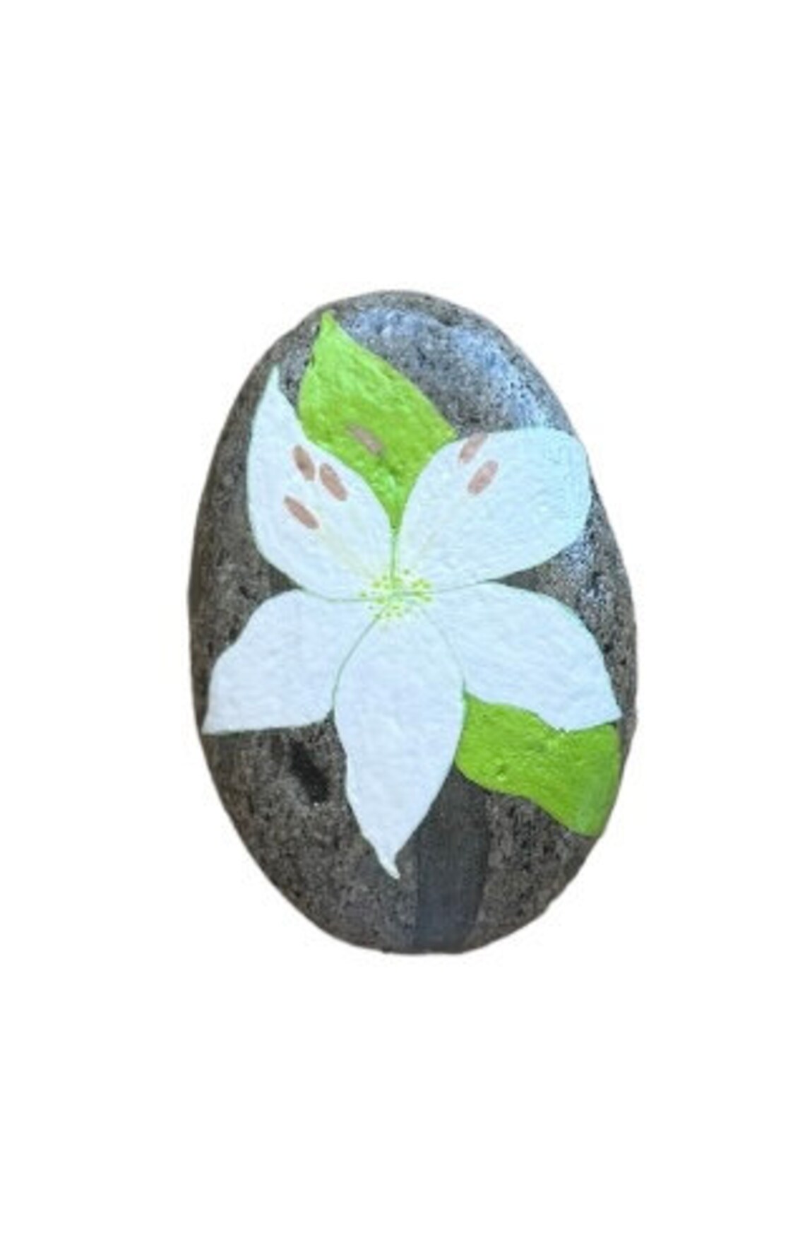 Hand-painted Lily Flower Garden Rock, Acrylic Painted Stone - Etsy