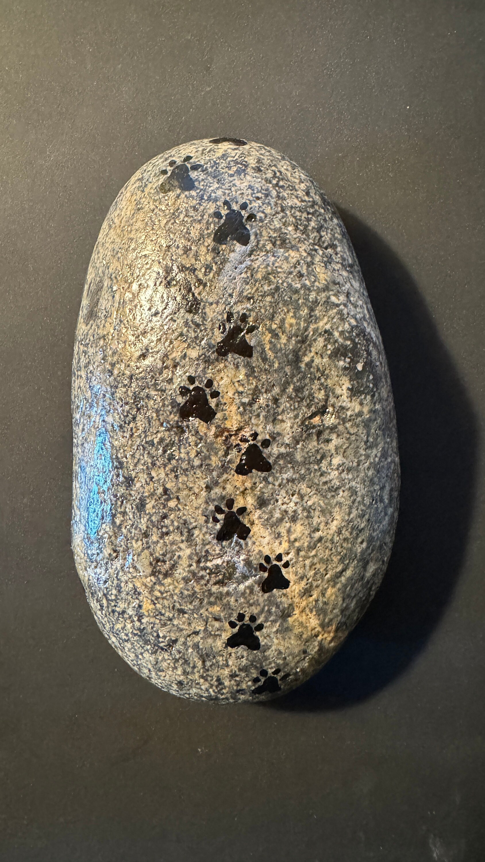 Pierre the Cat, Orange and White Cat, Kitty, Gift, Hand Painted Rock ...