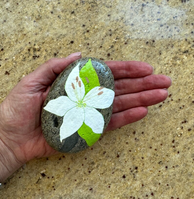 Hand-painted Lily Flower Garden Rock, Acrylic Painted Stone - Etsy