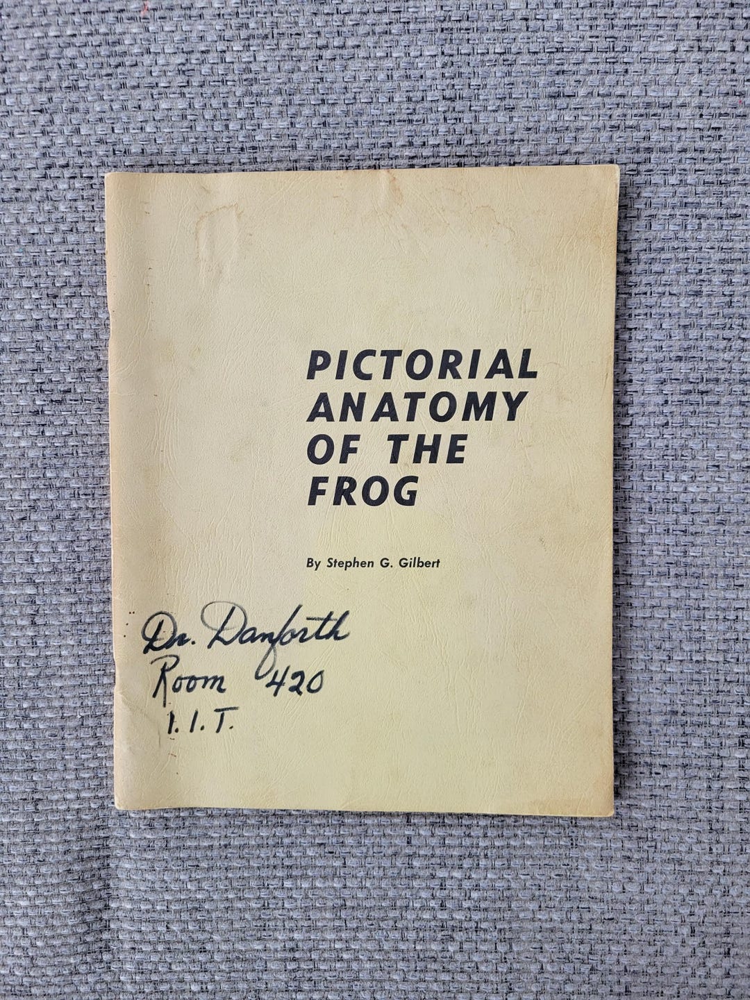1965 Pictorial Anatomy of the Frog — Stephen G. Gilbert • Univ of ...