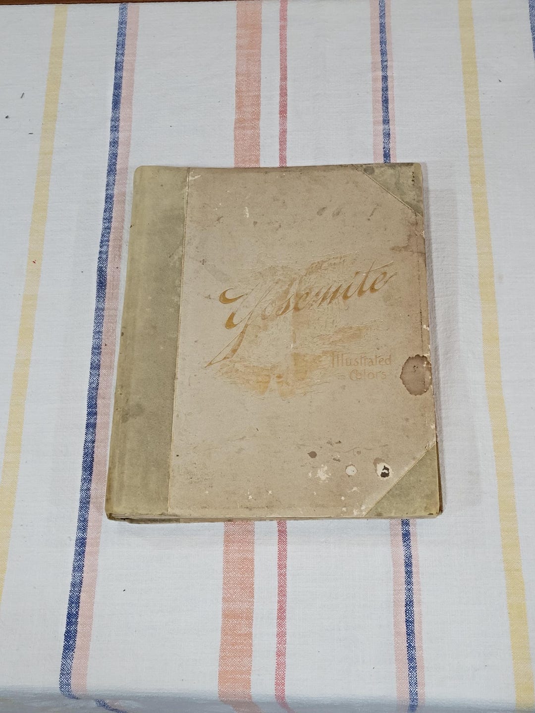 First Edition 1890 Yosemite National Park 13 Full Page ...