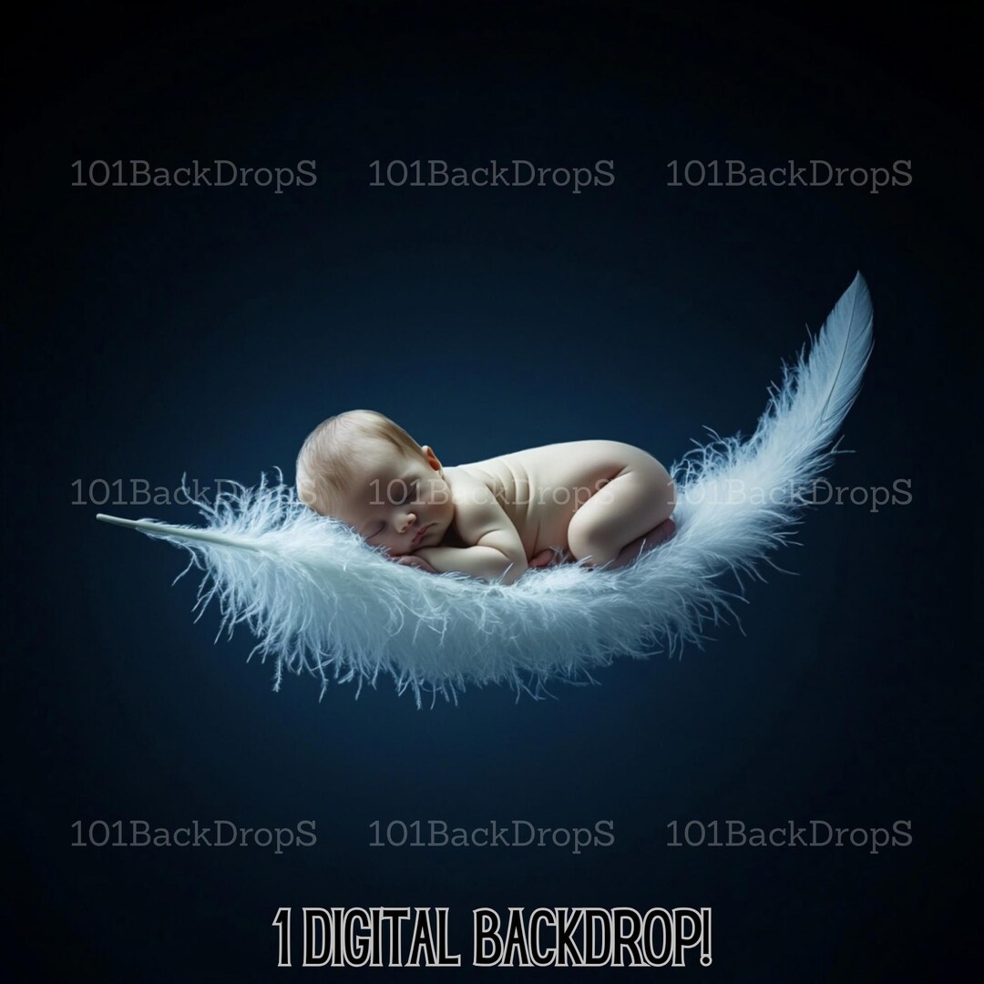 Feather Cradle Backdrop - Newborn Photoshoot Prop - Digital Download ...