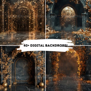 40+ Elegant Black & Gold Digital Photography Backdrop Feathers and ...