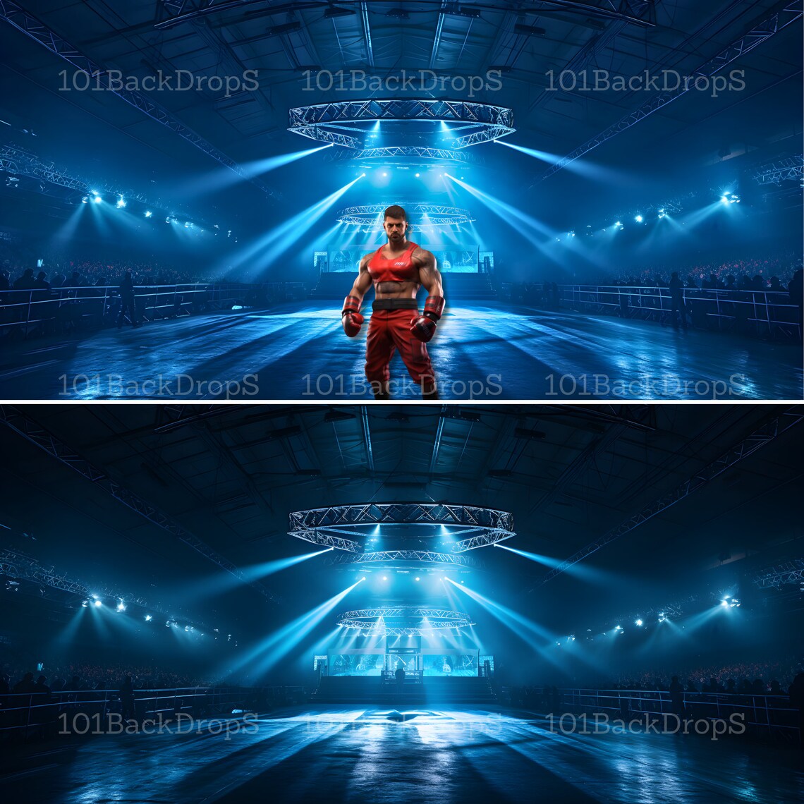 Enchanted Wrestling World 17 Magical Digital Backdrops DYNAMIC ICE ...