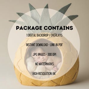 Single Pineapple Cradle Newborn Backdrop – High-resolution 8K Digital ...