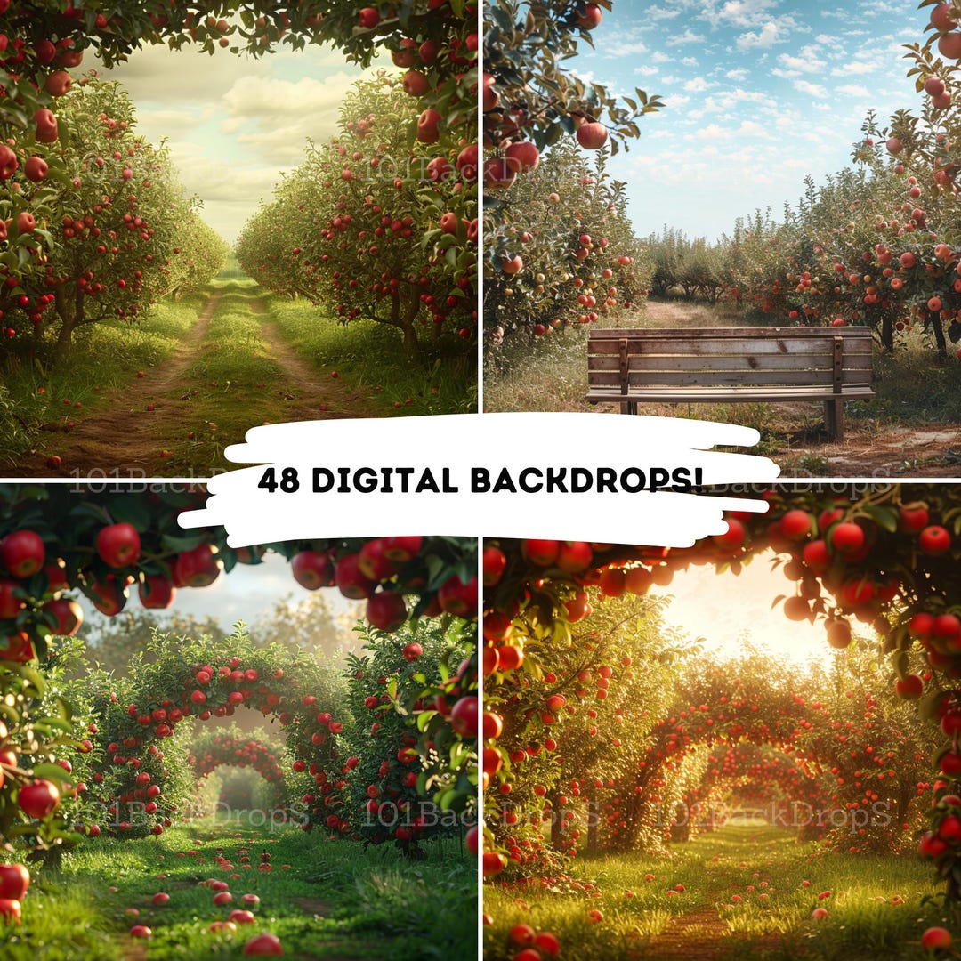 48 Bundle of Digital Backdrops of Apple Orchard, Autumn Harvest, Back ...