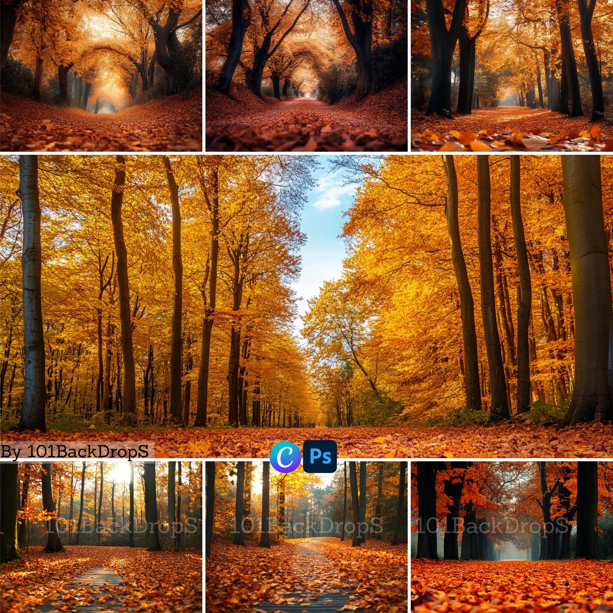 Autumn Wonderland Backdrop Bundle - 100+ Nature Scenes With Trees ...