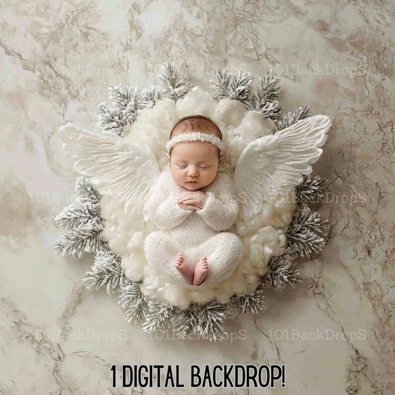 Angel Wing Cradle - Heavenly Newborn Digital Backdrop for Photographers ...