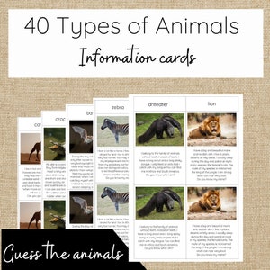 Animal Information Cards/ Who Am I Guessing Game - Etsy