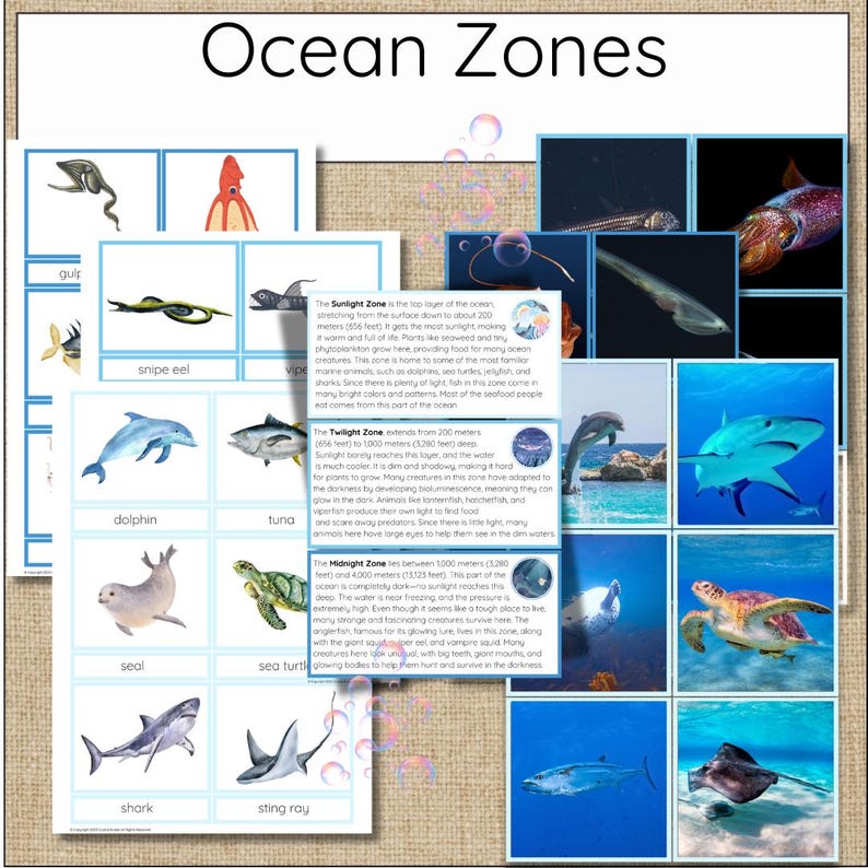 Layers of the Ocean - Etsy