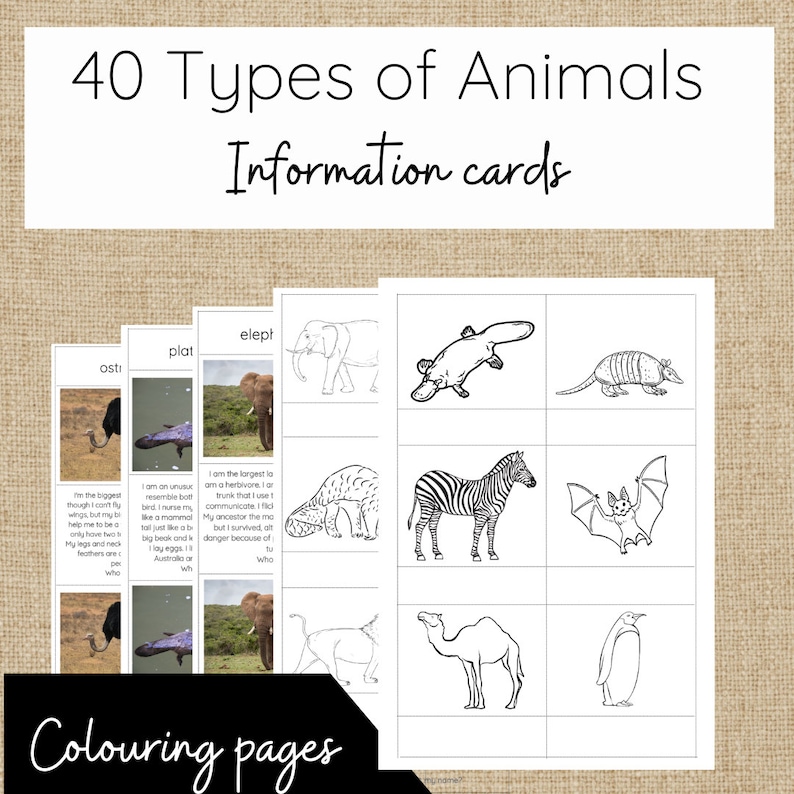 Animal Information Cards/ Who Am I Guessing Game - Etsy