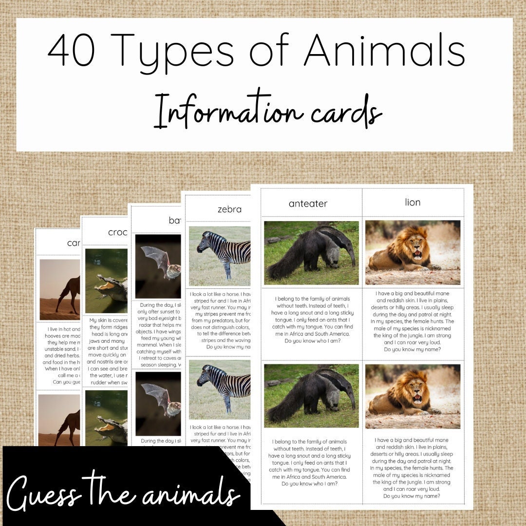 Animal Information Cards/ Who Am I Guessing Game - Etsy