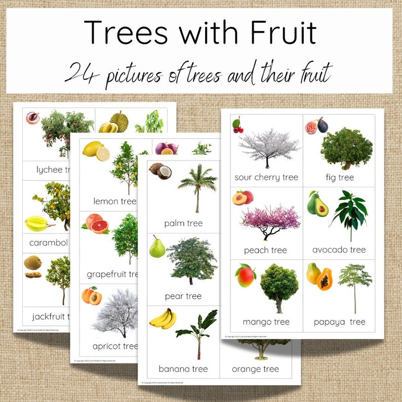 Types of Fruit Trees - Etsy