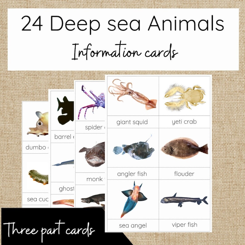Deep Sea Animals Unit - Etsy